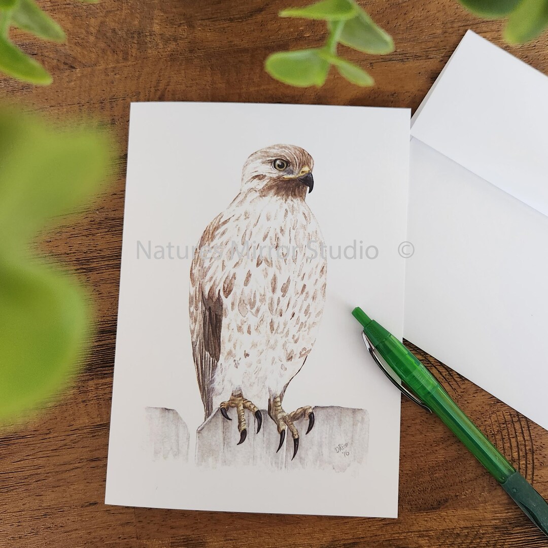 Red Tailed Hawk Bird Blank Greeting Card Watercolor Print - Etsy