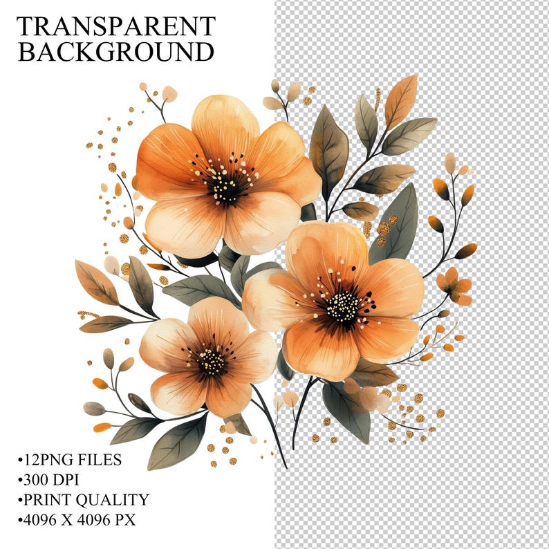 Orange Watercolor Floral Clipart: High-resolution Flower PNG (digital ...