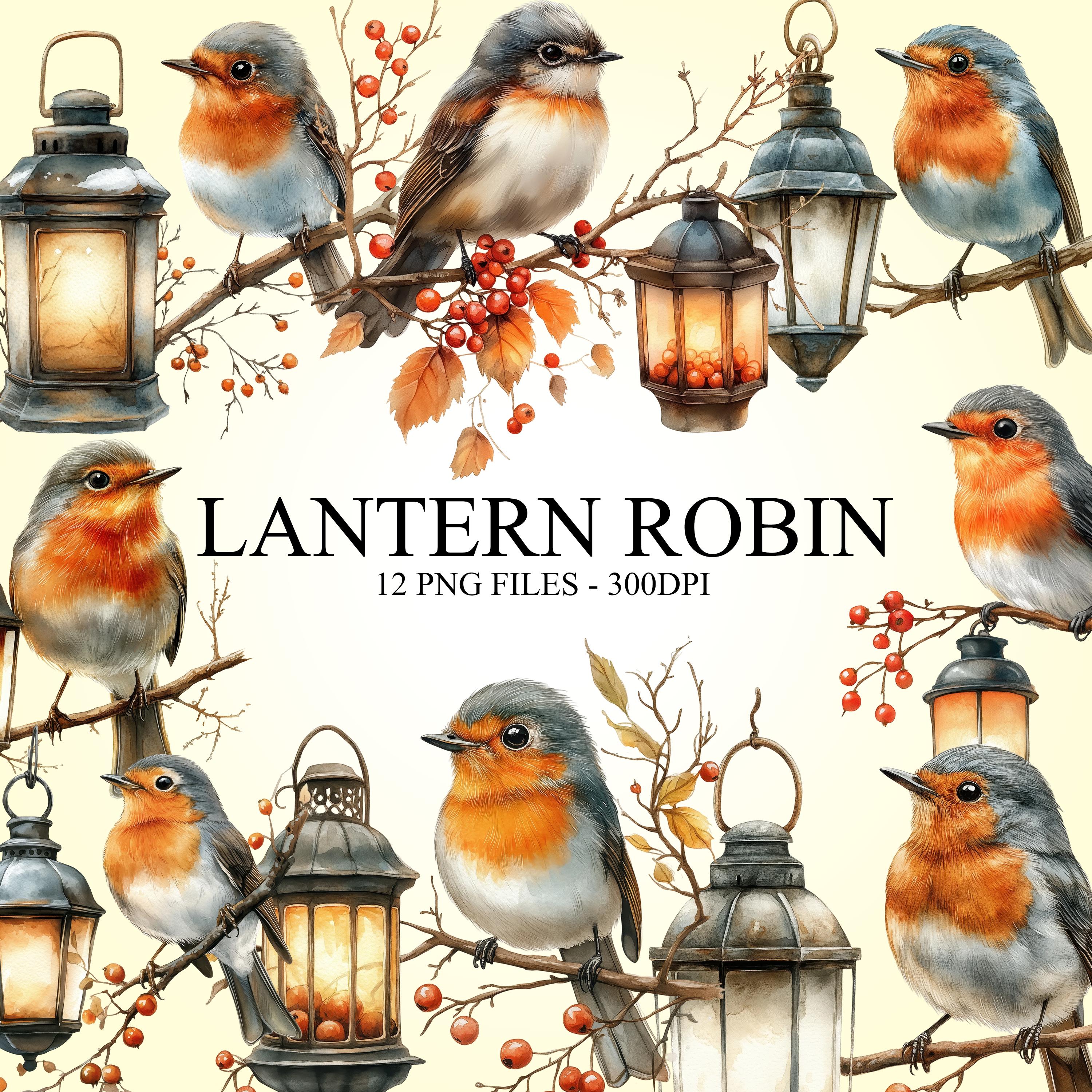 Watercolor Robin With Lantern Clipart: Christmas Bird Art (digital ...