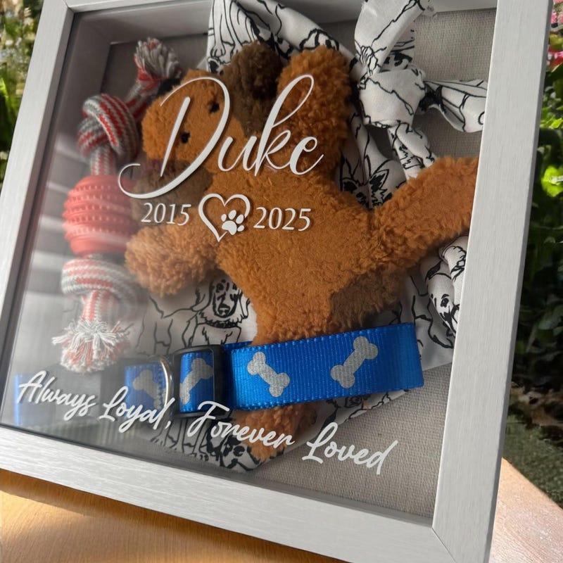 Pet Memorial Shadow Box - Etsy