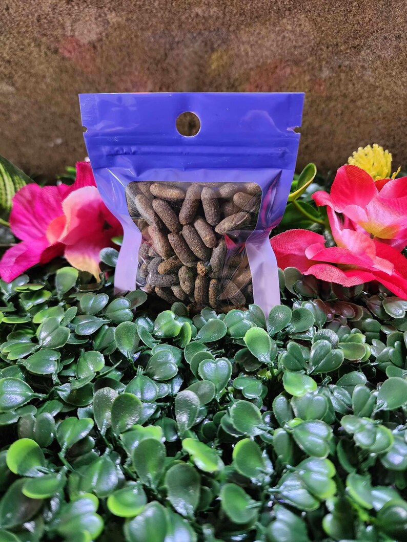 Guinea Pig Poo - Etsy