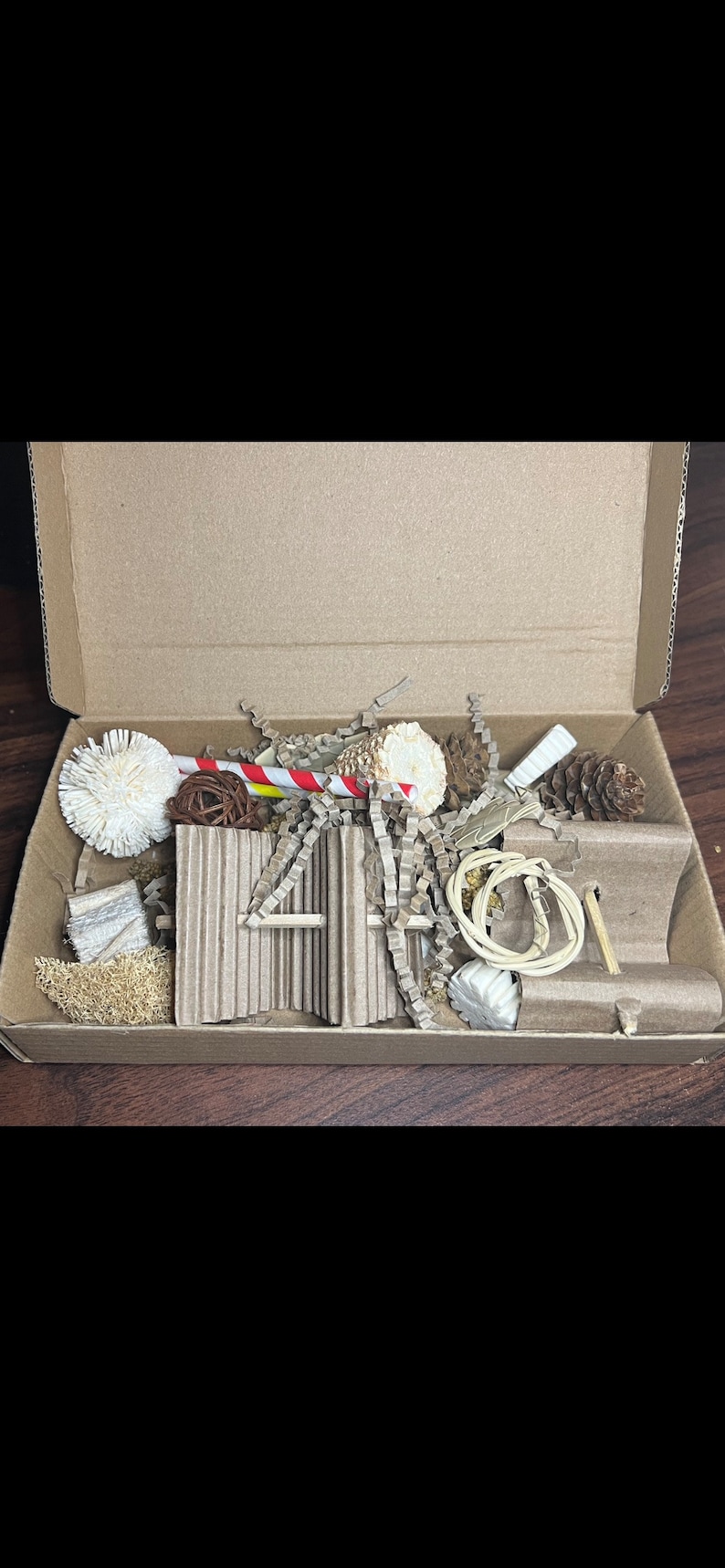 Foraging Box Mini - Etsy