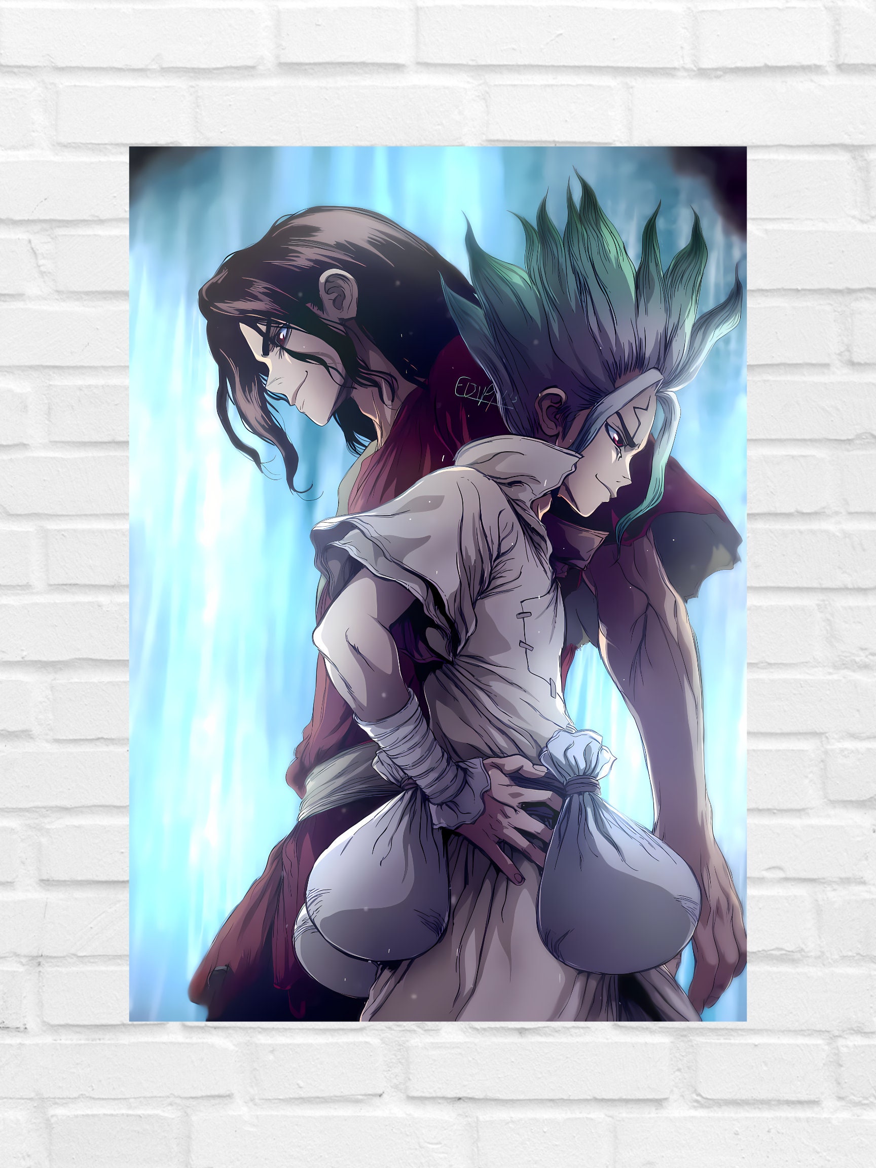 Dr. Stone Anime Poster Senku and Tsukasa Anime Wall Art Dr. Stone Anime ...