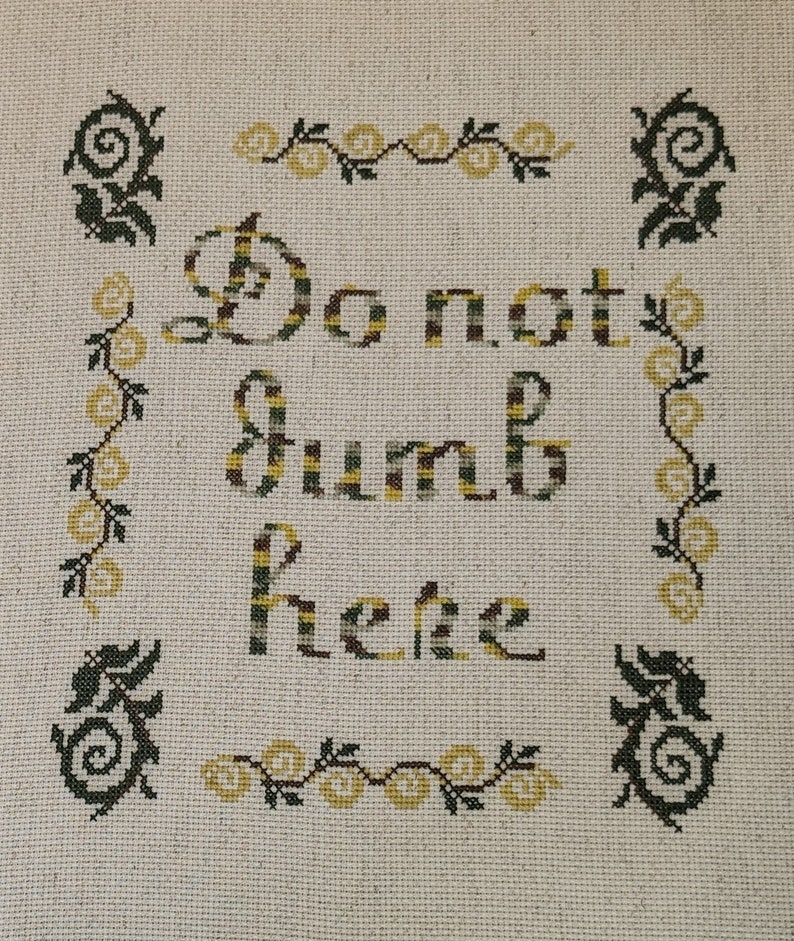 Do Not Dumb Here - Cross Stitch Pattern - Etsy Australia