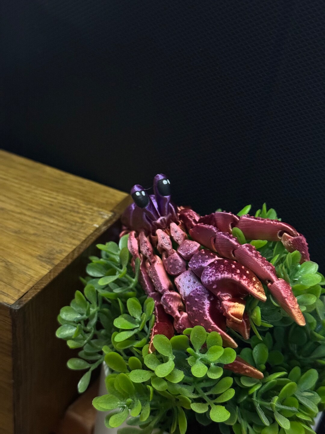 Purple Rasberry, Hermit, Crab, Friend, White Shell Toy Therapy, Friend ...
