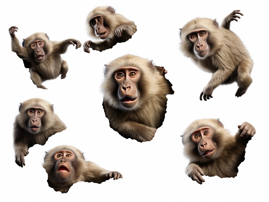 Apes Watercolor Clipart Digital Download, Multiple Apes Wildlife ...