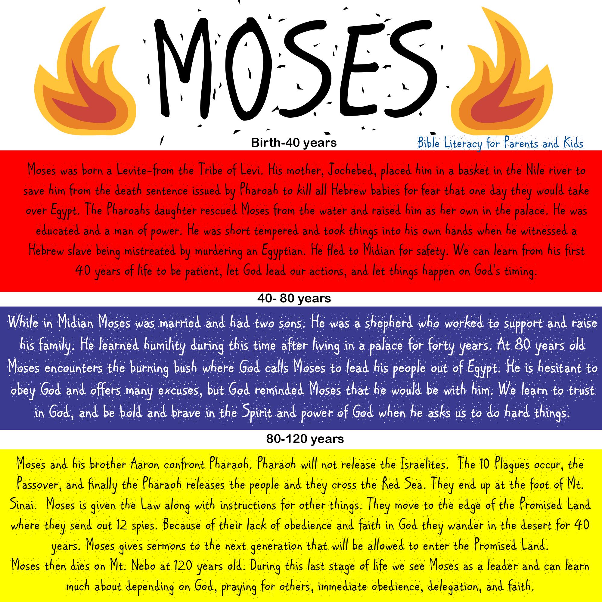 30 Old Testament Bible Character Sheets Full of Bio, What to Learn ...