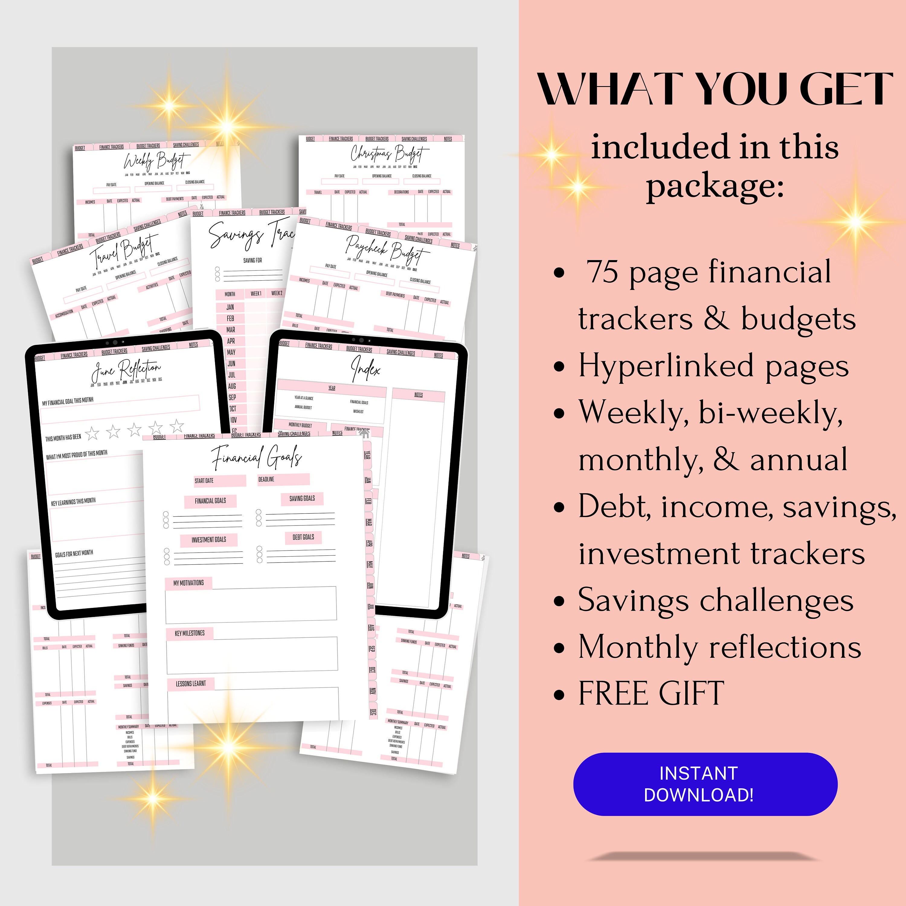 Budget Spread Budget Review Printable iPad Budget Plan PLR Planner ...