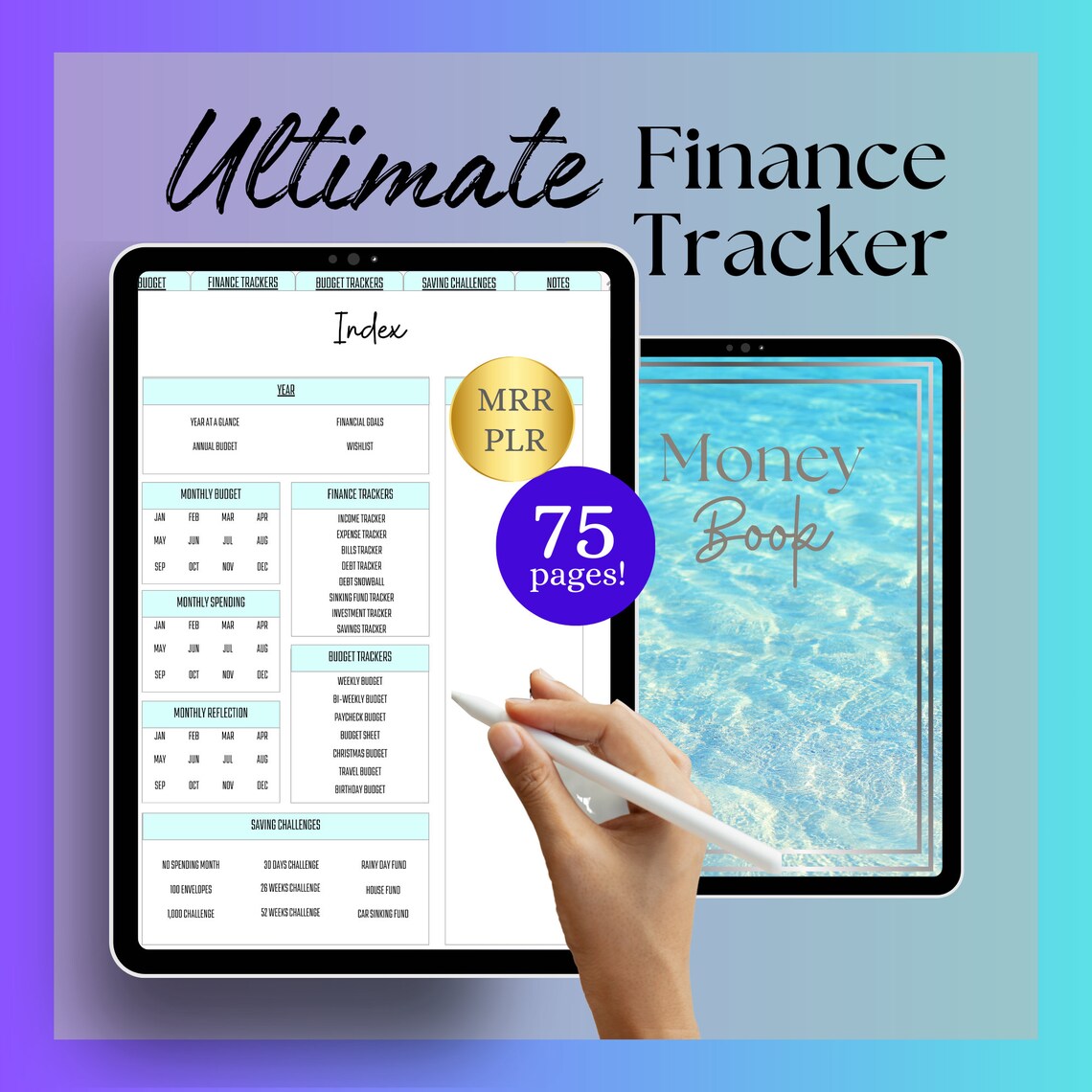 PLR Financial Planner Goodnotes 5 Financial Planner PLR Financial ...