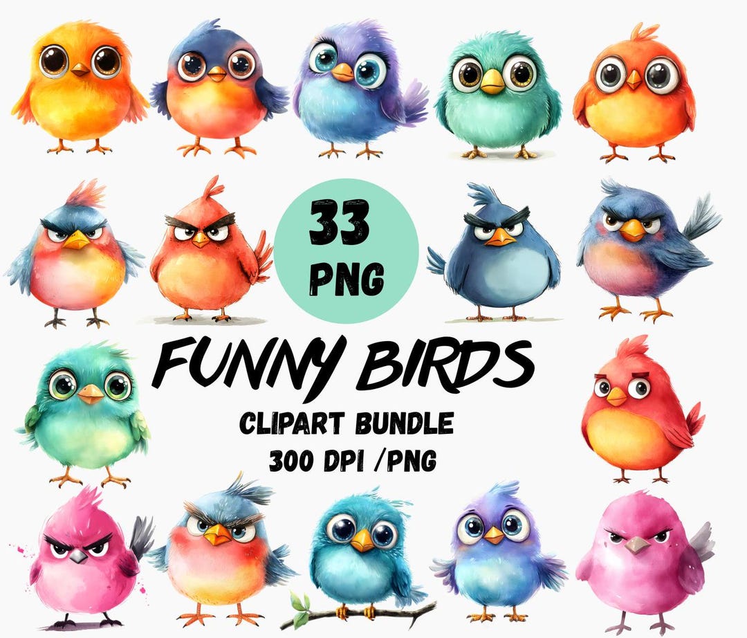 Funny Birds Clipart PNG, Grumpy Quirky Birds Cliart Bundle, Cute ...