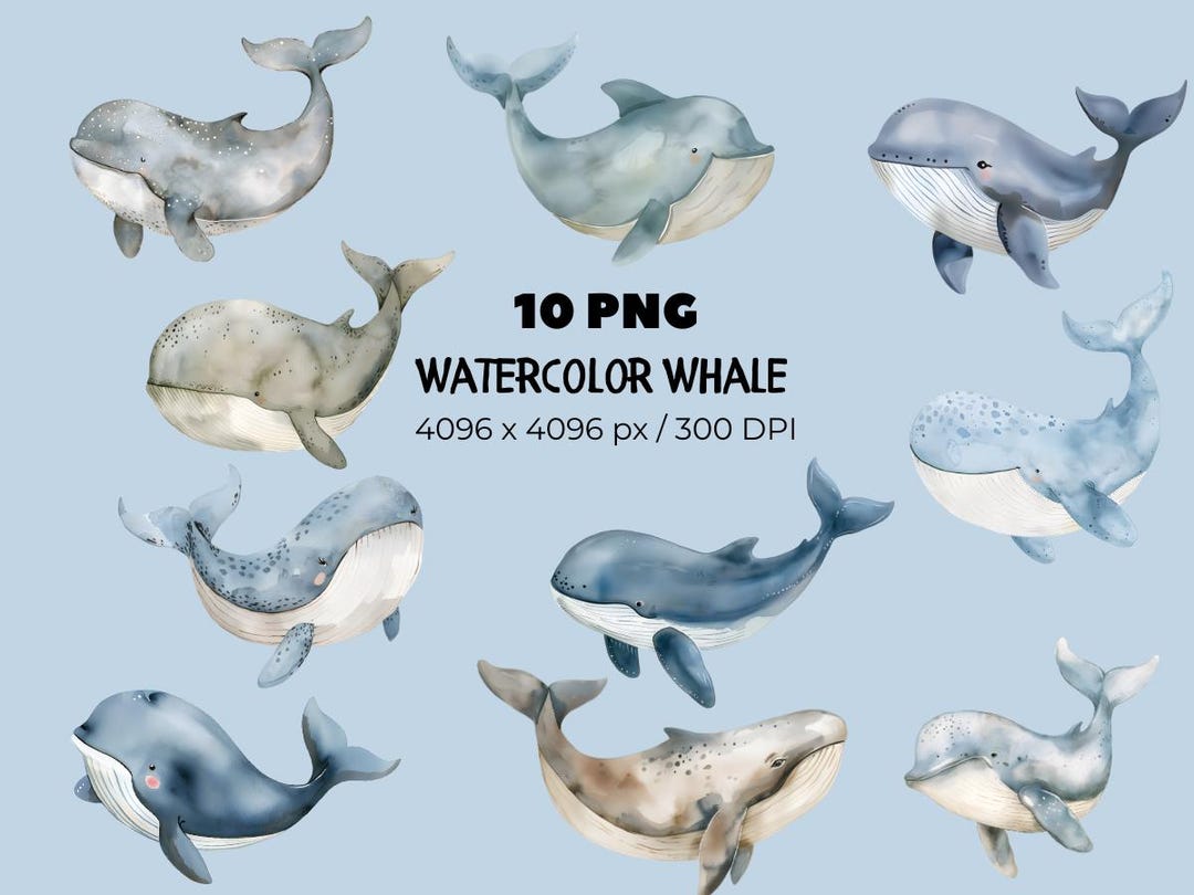 Watercolor Whale PNG, Cute Whale Clipart, Cartoon Whale Art, Whale Baby ...