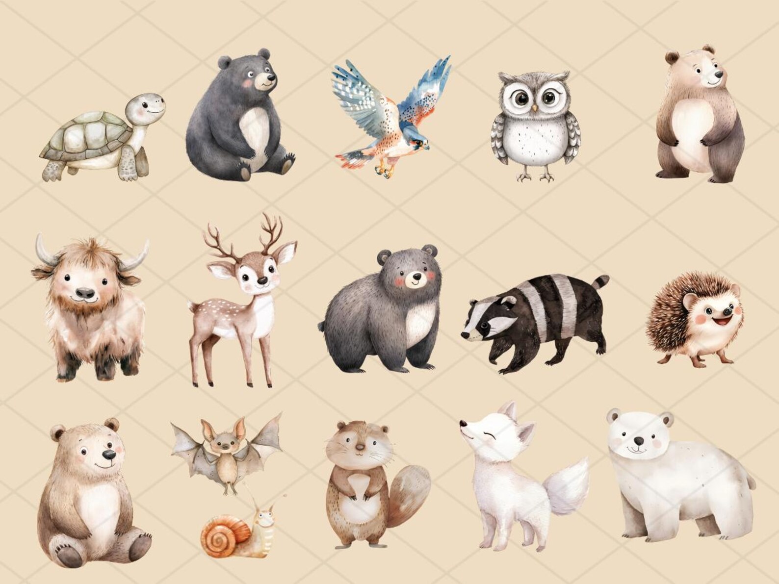 Woodland Watercolor Animals Clipart, Cute Forest Animals PNG, Boho ...