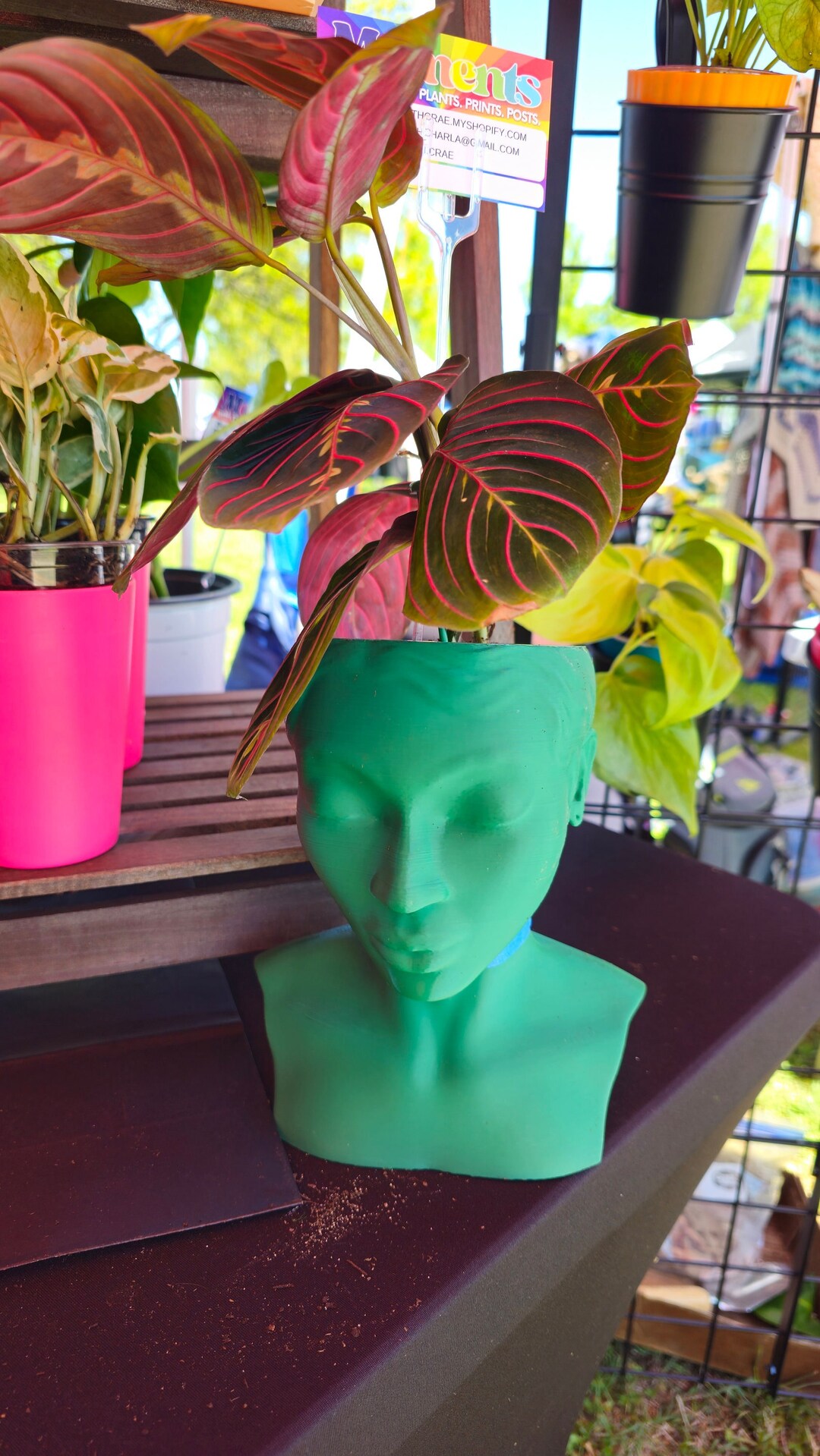 Houseplants and 3d Printed Pots - Etsy
