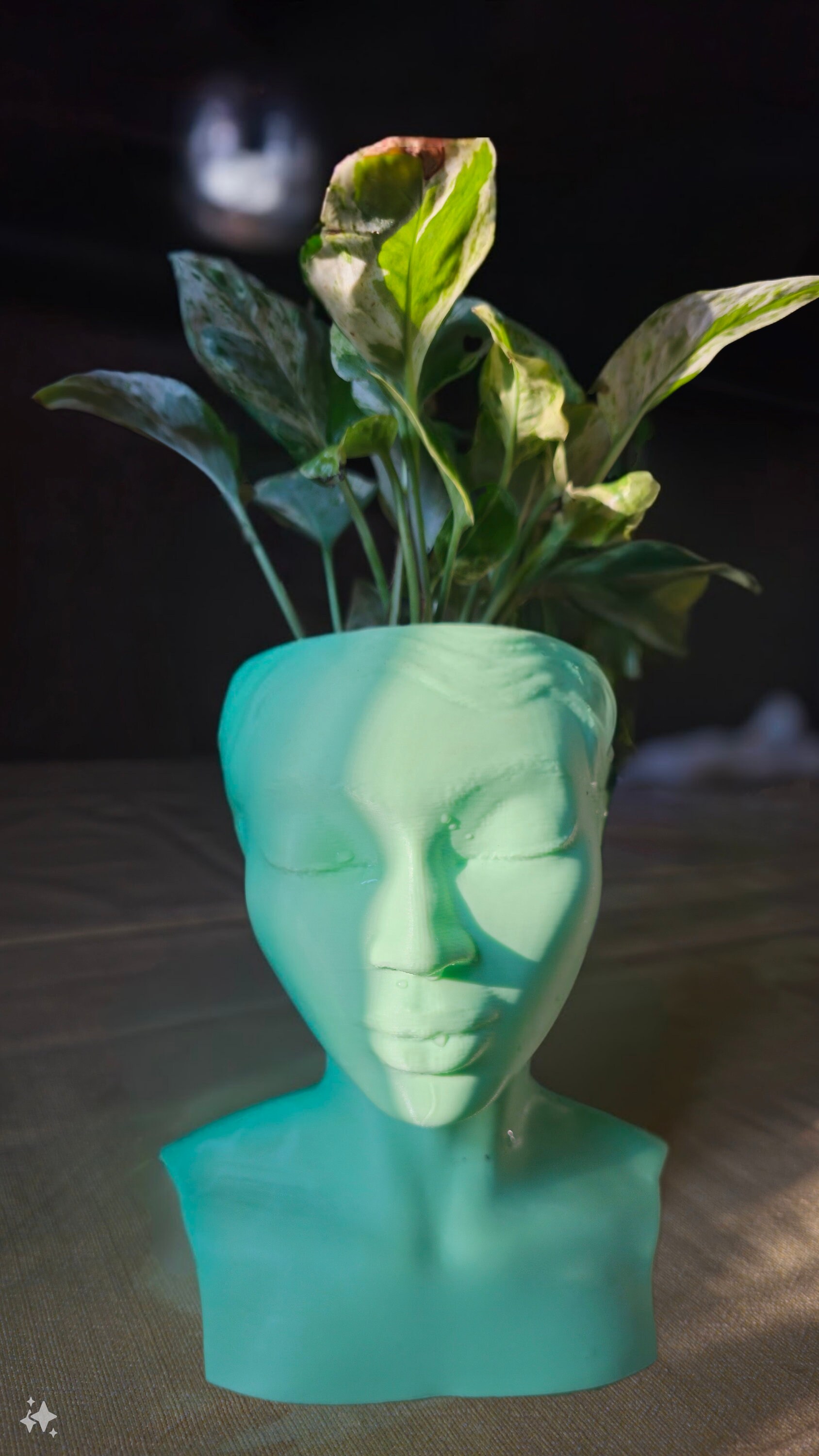 Houseplants and 3d Printed Pots - Etsy