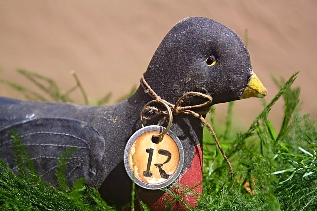 Spring Robin Primitive Folk Art Bird E Pattern - Etsy