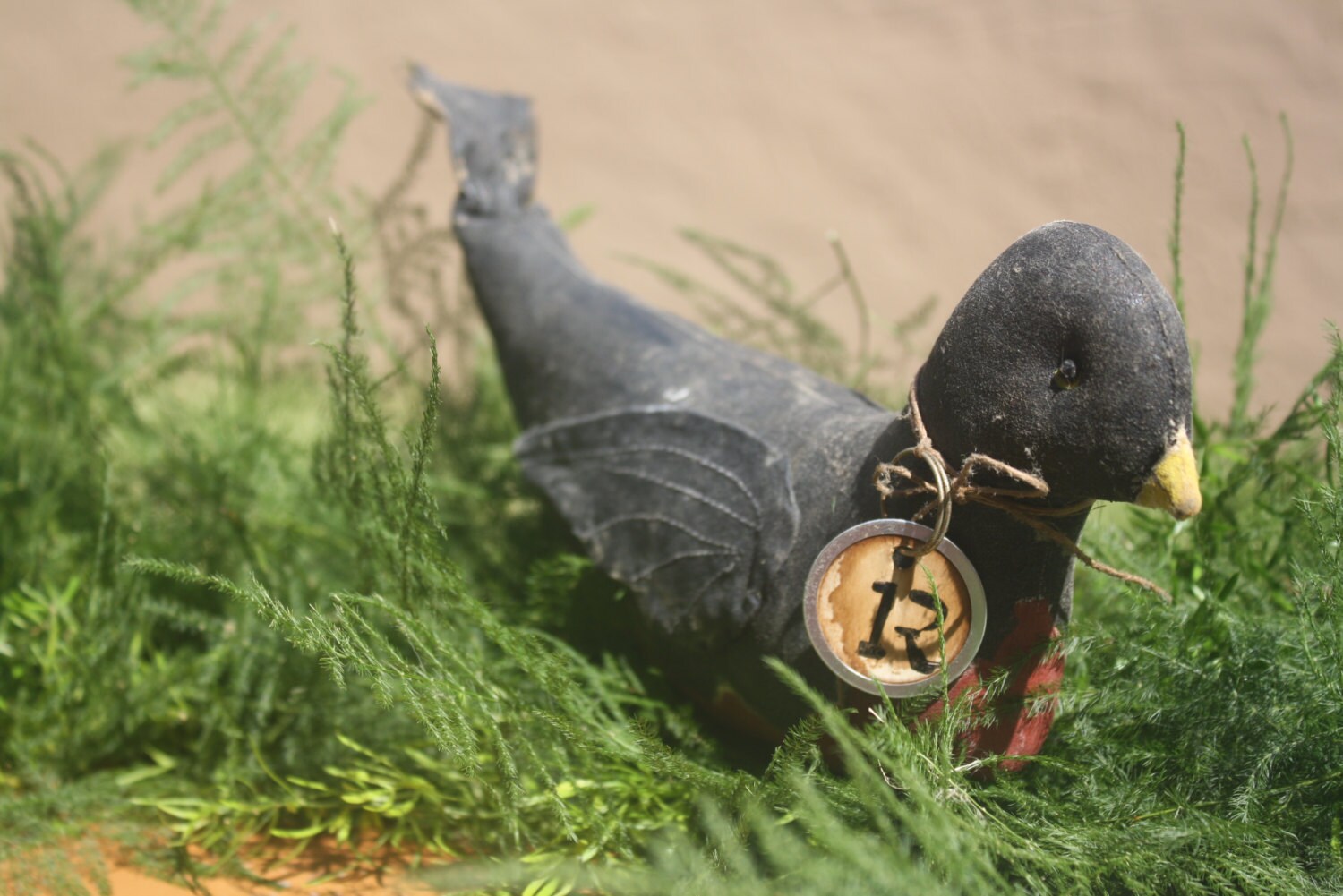Spring Robin Primitive Folk Art Bird E Pattern - Etsy