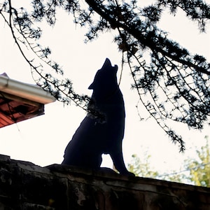 Wolf Pack Yard Display, PVC Garden Decoration, Wolves Yard Art, Water ...