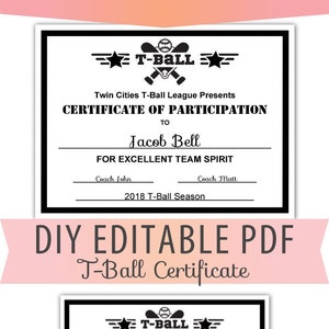 Editable T-ball Certificate Template: DIY Sports Award (PDF Download ...