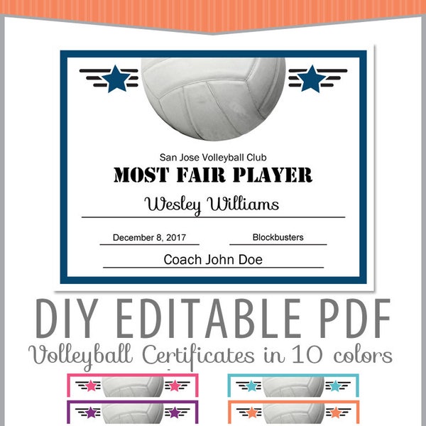 Volleyball Award - Etsy
