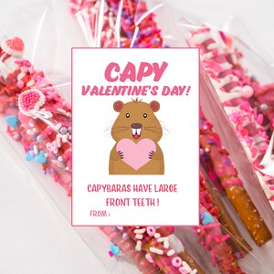 Capybara Valentine's Day Printable Gift Favor Tag, Classroom Valentine ...