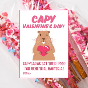 Capybara Valentine's Day Printable Gift Favor Tag, Classroom Valentine ...
