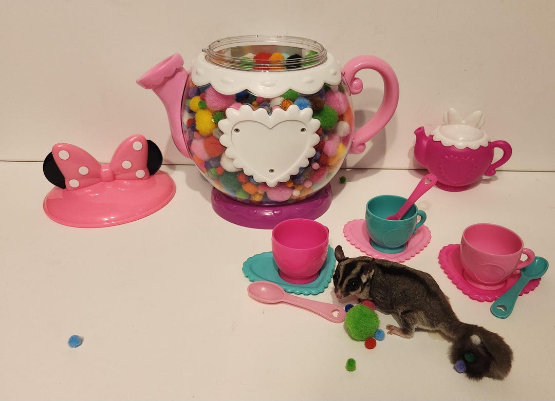 Sugar Glider Big Pom Pom Pit! Perfect for Your Sugar Babies to Explore ...