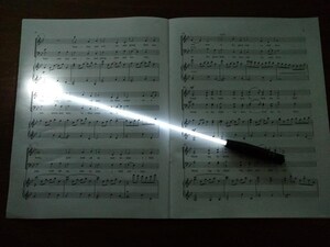 Needlelite STANDARD Lighted Conductor Baton - Etsy Canada