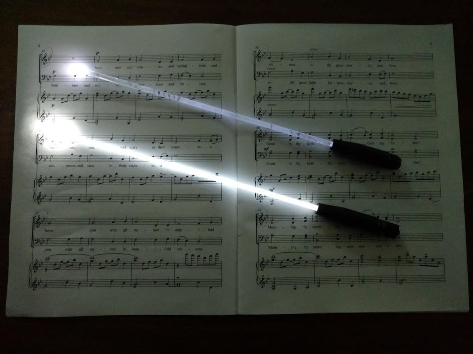 Needlelite ULTRA Lighted Conductor Baton-ultra Bright - Etsy