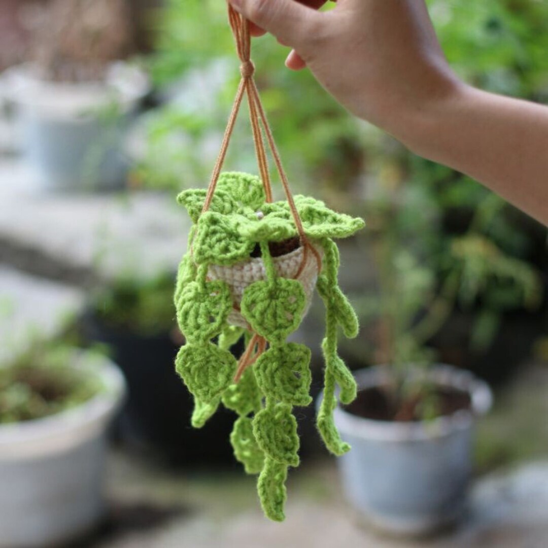 Personalized String of Pearl Car Hanging, Hanging Plant for Car ...