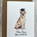 Labrador Graduation Congratulations Card Class of 2024, Dog Graduation ...