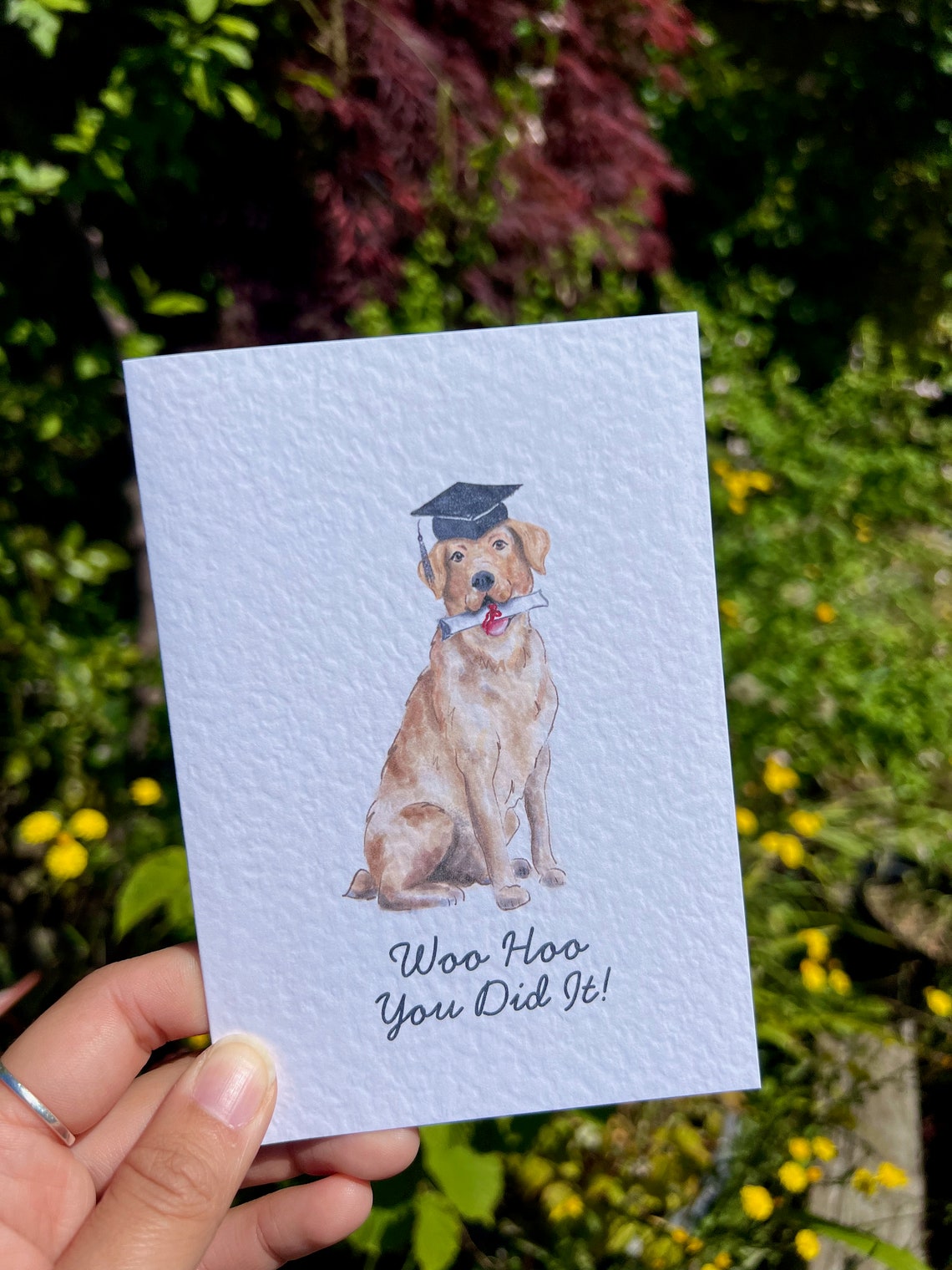 Labrador Graduation Congratulations Card Class of 2024, Dog Graduation ...