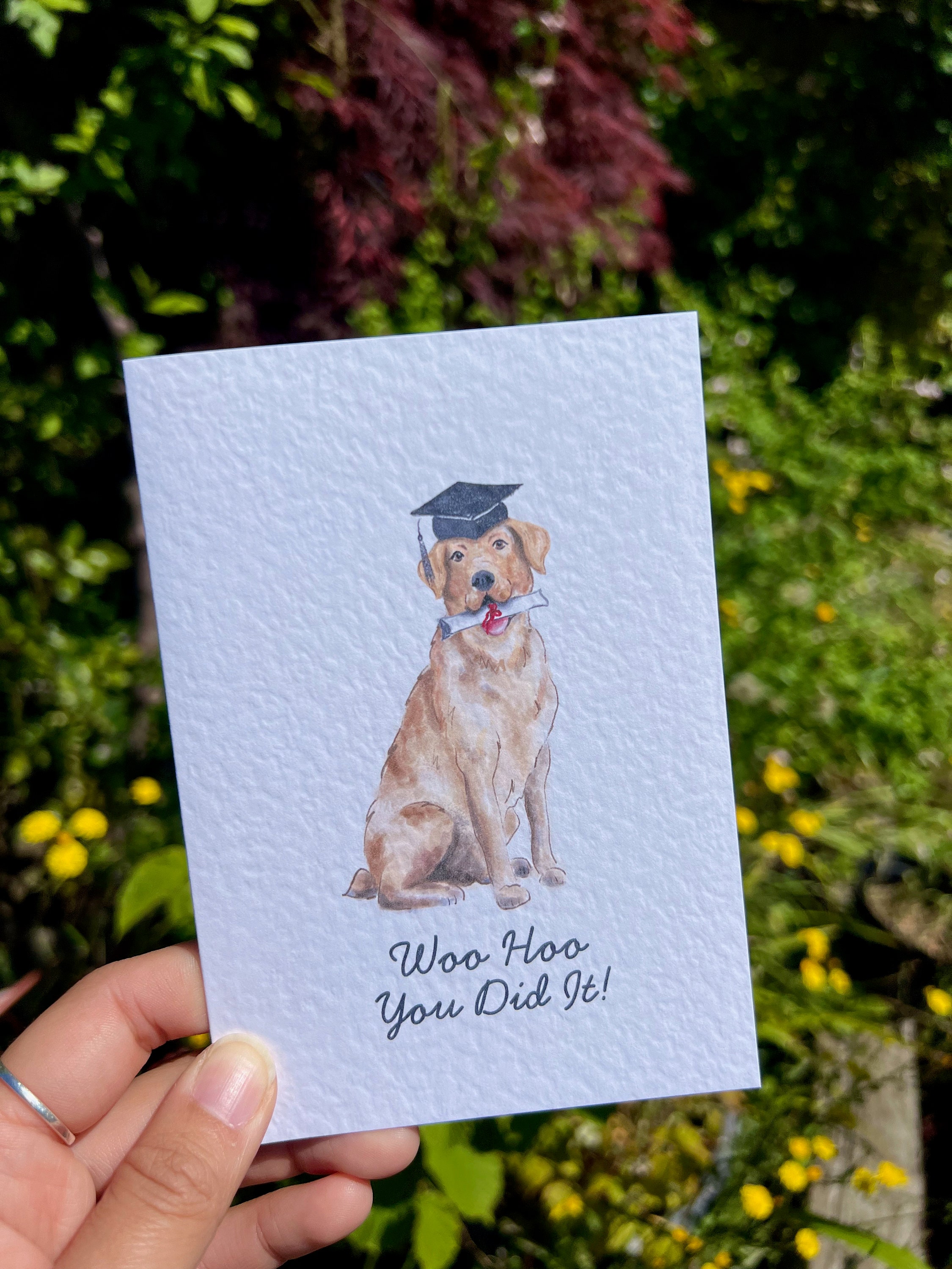 Labrador Graduation Card – Watercolor Dog, Class of 2026 - Etsy