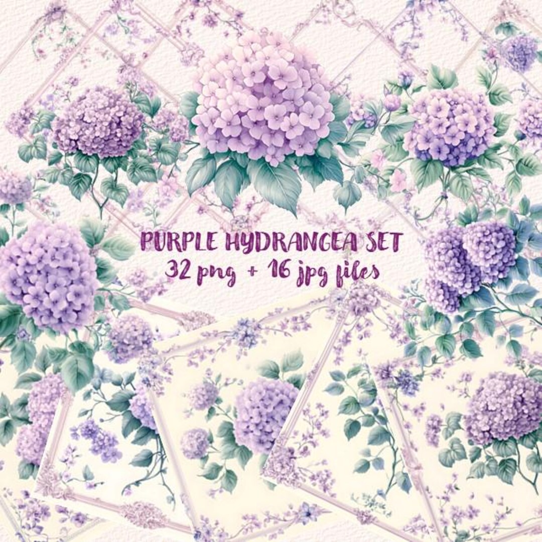 Purple Hydrangea Frame Clipart Set, Floral Digital Paper and Hydrangea ...