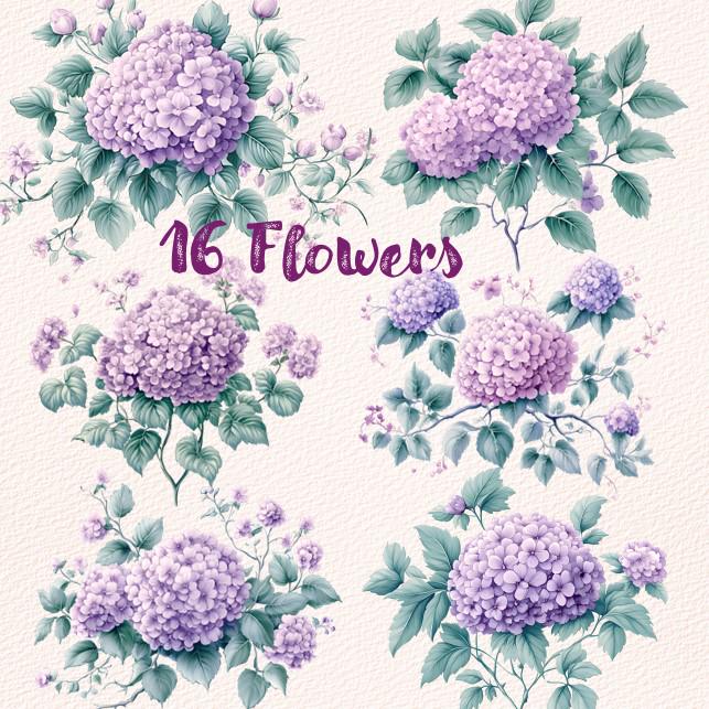 Purple Hydrangea Frame Clipart Set, Floral Digital Paper and Hydrangea ...