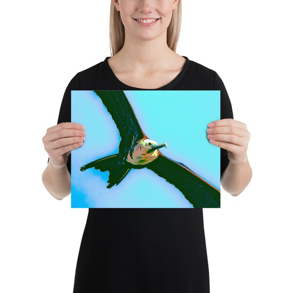 Frigate Bird - Etsy