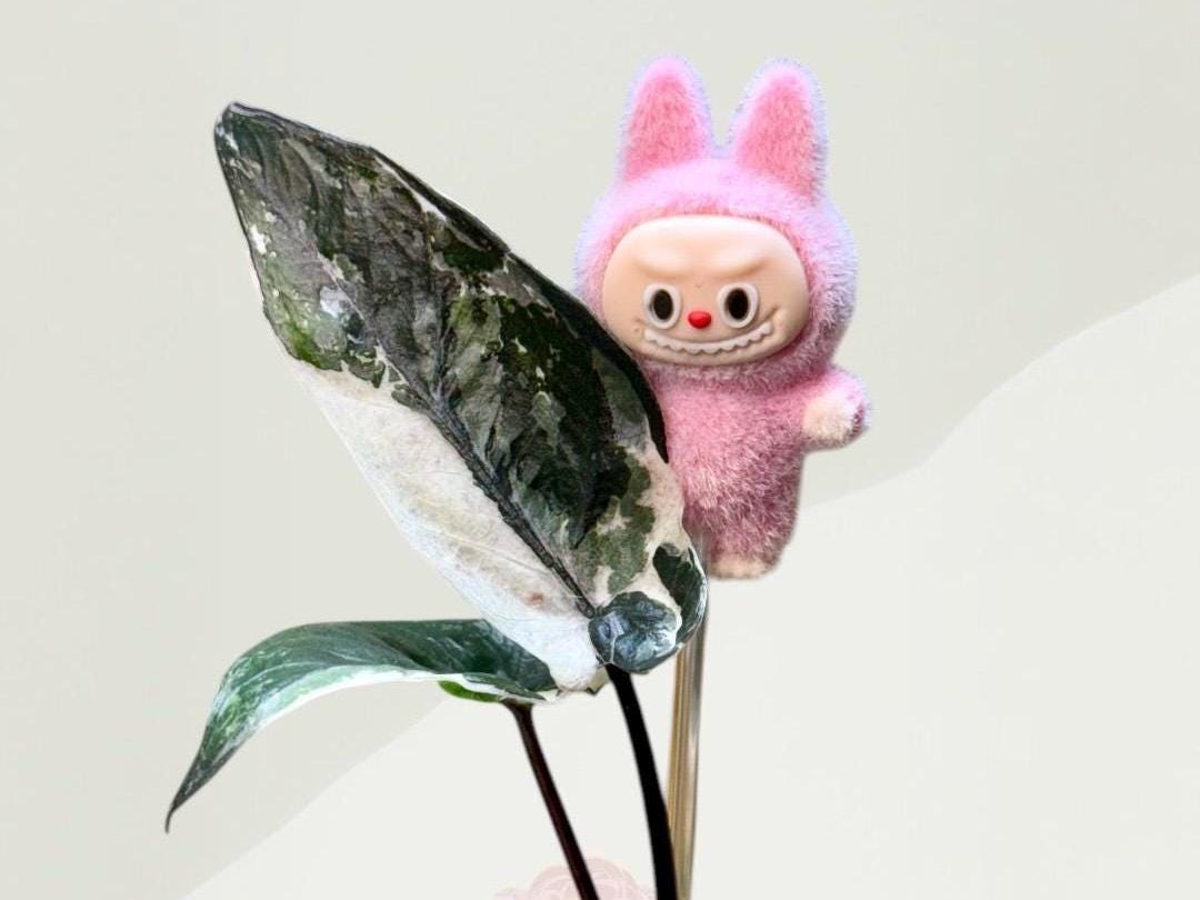 Labubu-inspired Mini STANDING SET | Plant Buddy | Indoor Gardening ...