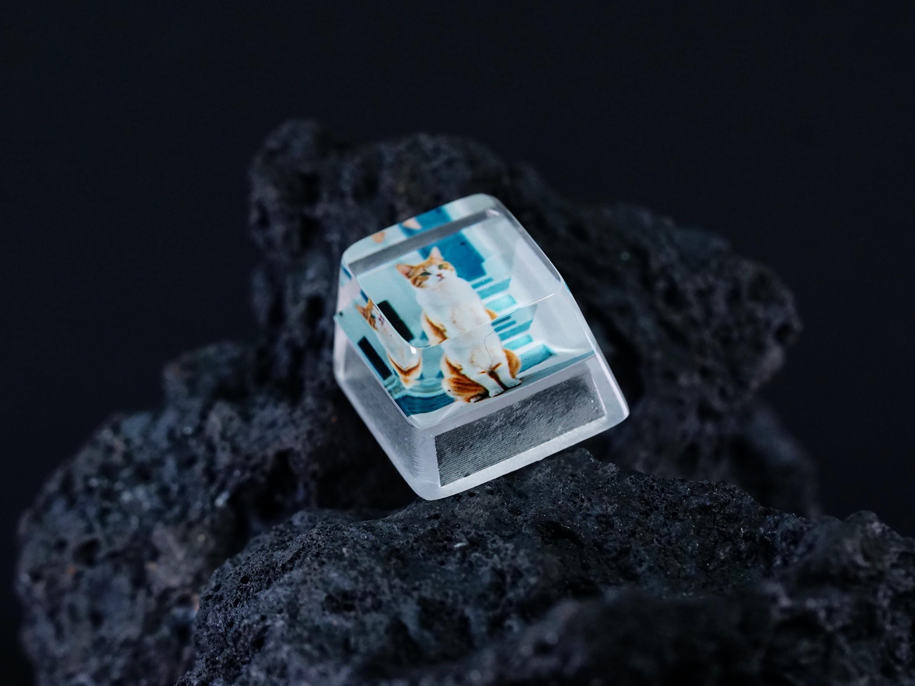 Custom Photo Resin Keycap, Personalized Artisan Keycap for MX Cherry ...