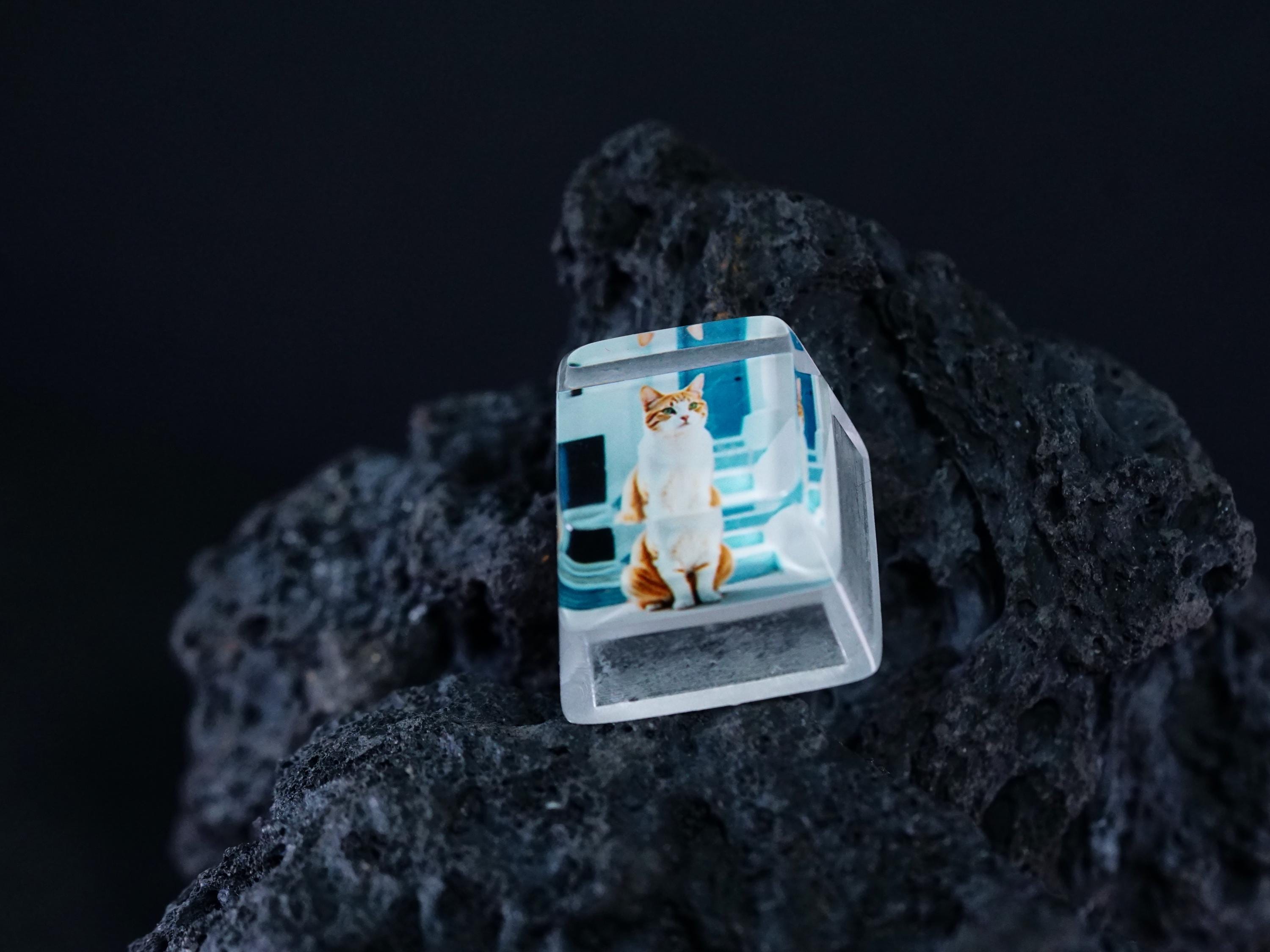 Custom Photo Resin Keycap, Personalized Artisan Keycap for MX Cherry ...