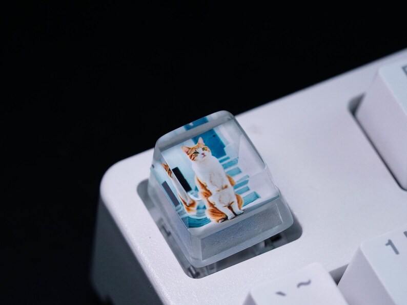 Custom Photo Resin Keycap, Personalized Artisan Keycap for MX Cherry ...