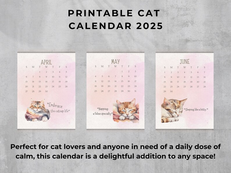 Cute Cat Calendar 2025, Cats Monthly Calendar, Adorable Printable ...