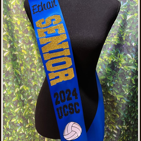 Senior Night Pin Volleyball - Etsy
