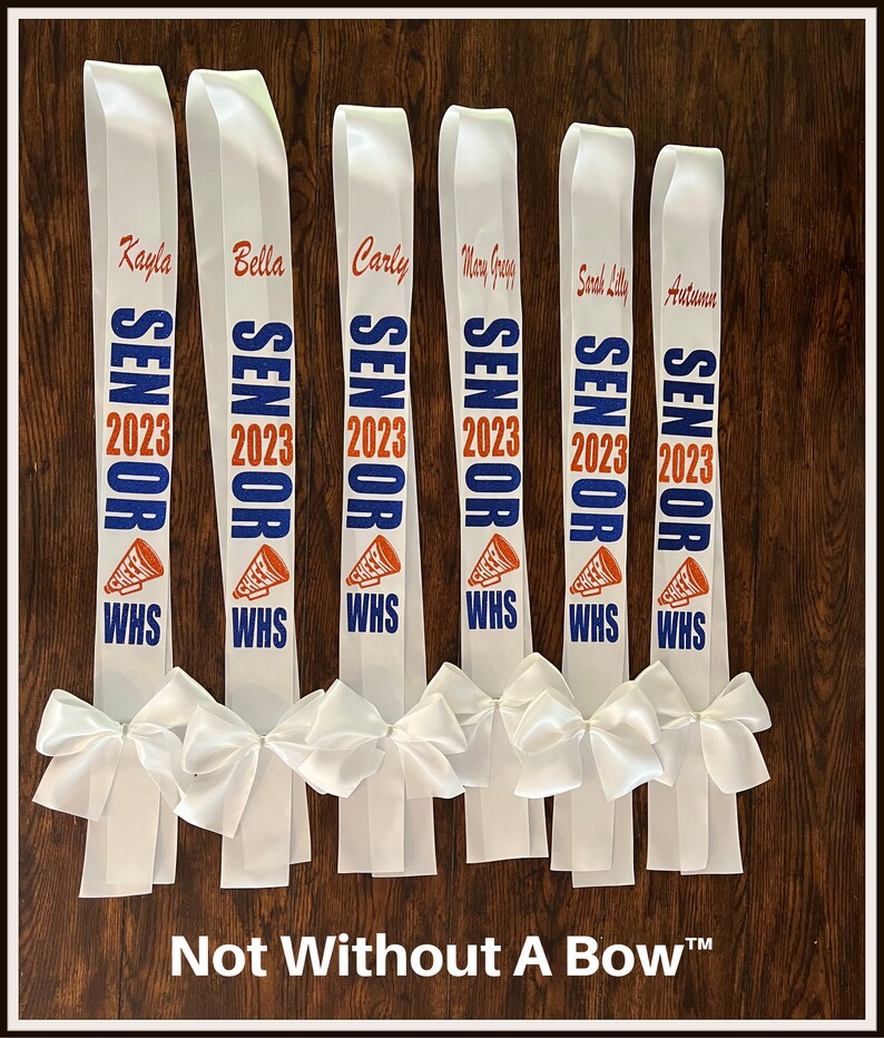 Megaphone Cheer Senior Sash Senior Cheer Sash Senior Night - Etsy