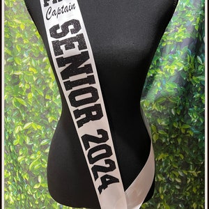 Custom Sash - Cheer Senior Sash - Dance Senior Sash - Senior Night Sash ...
