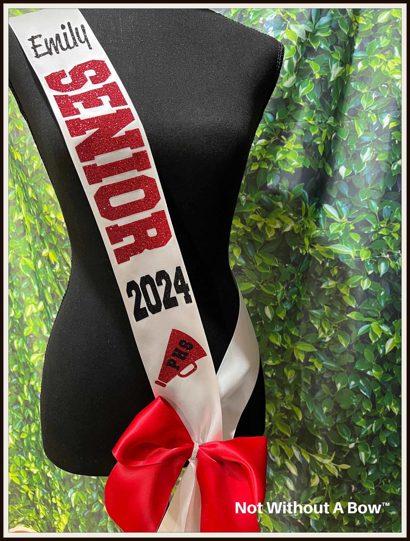 Megaphone Cheer Senior Sash - Senior Cheer Sash - Cheer Sash ...