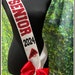 Megaphone Cheer Senior Sash - Senior Cheer Sash - Cheer Sash ...