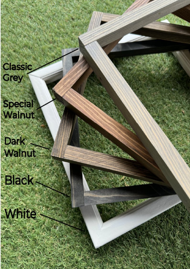 Park Map Icon Frame Anaheim Disneyland California Adventure Fun Wheel ...