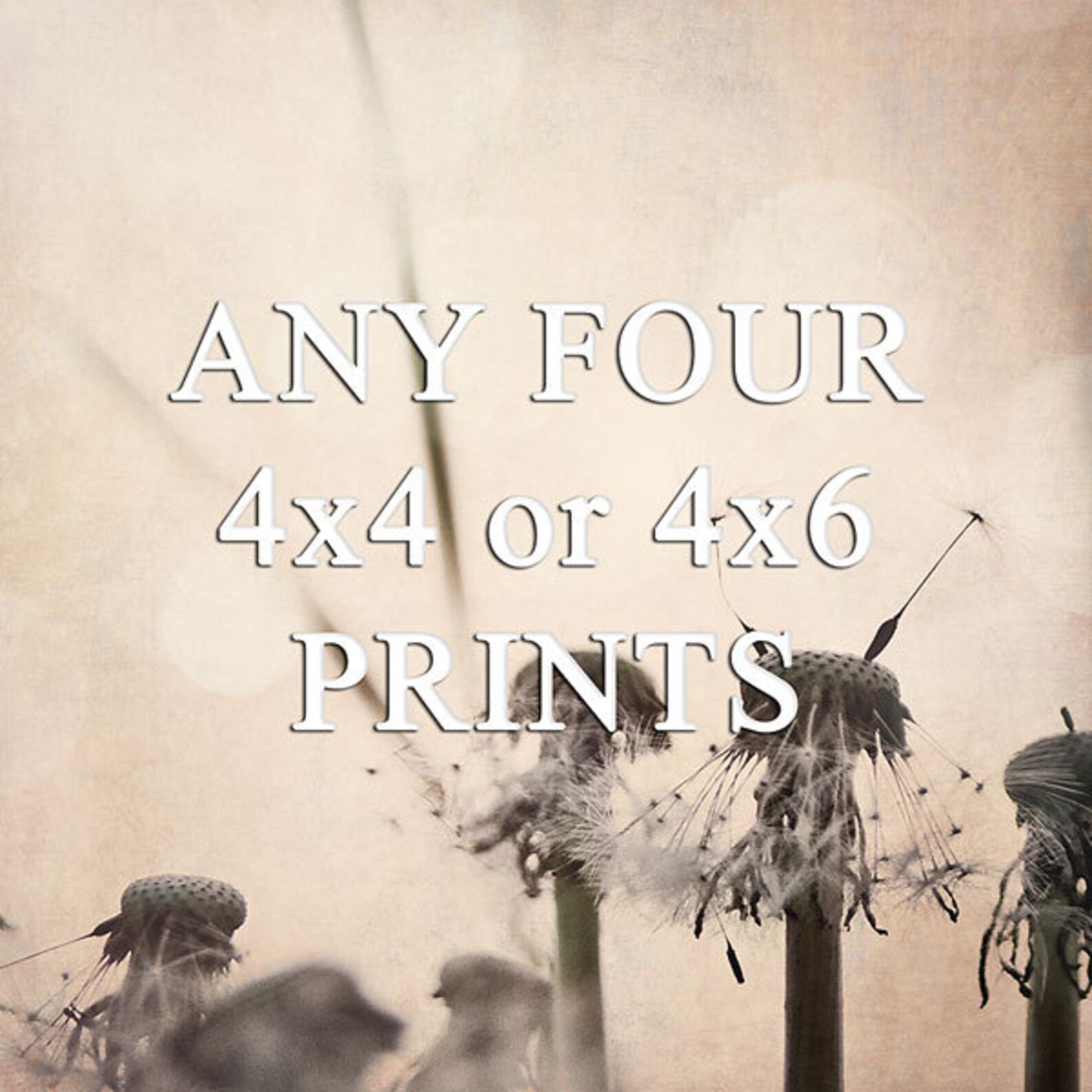 Any Four 4x4 or 4x6 Prints Your Choice Baby Nursery - Etsy