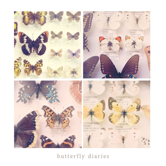 Butterfly Photography Set Butterfly Art Girl Nursery Decor | Etsy