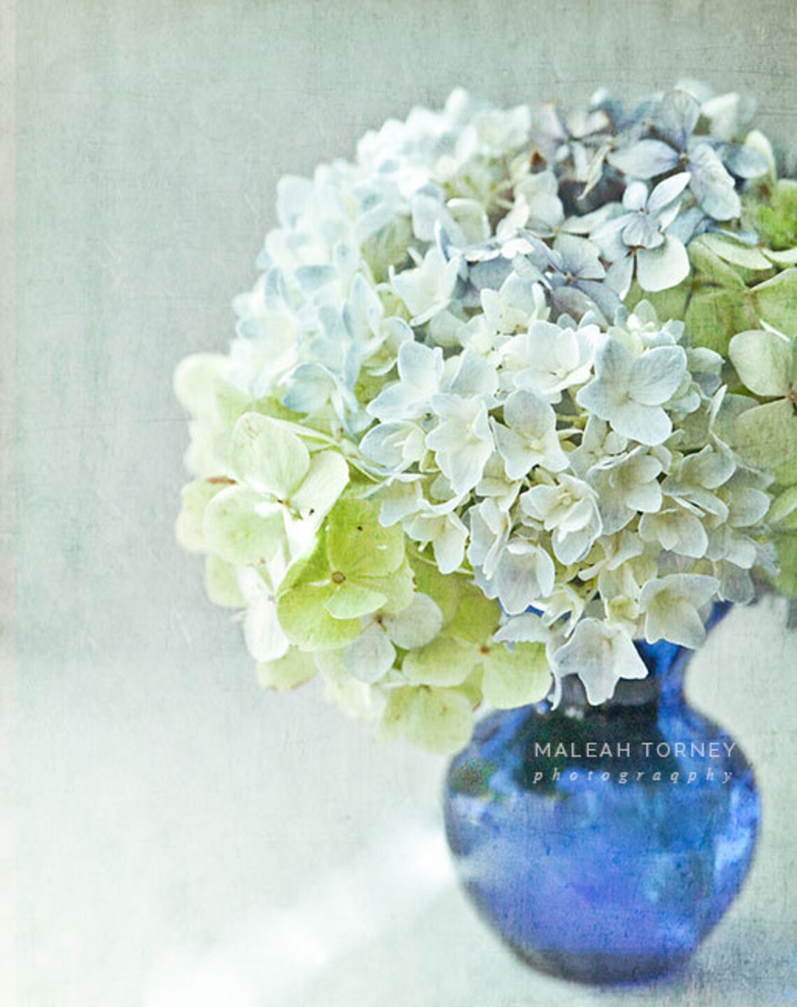 Hydrangea Flower Photography, Floral Bouquet, Cobalt Blue Vase, Pastel ...