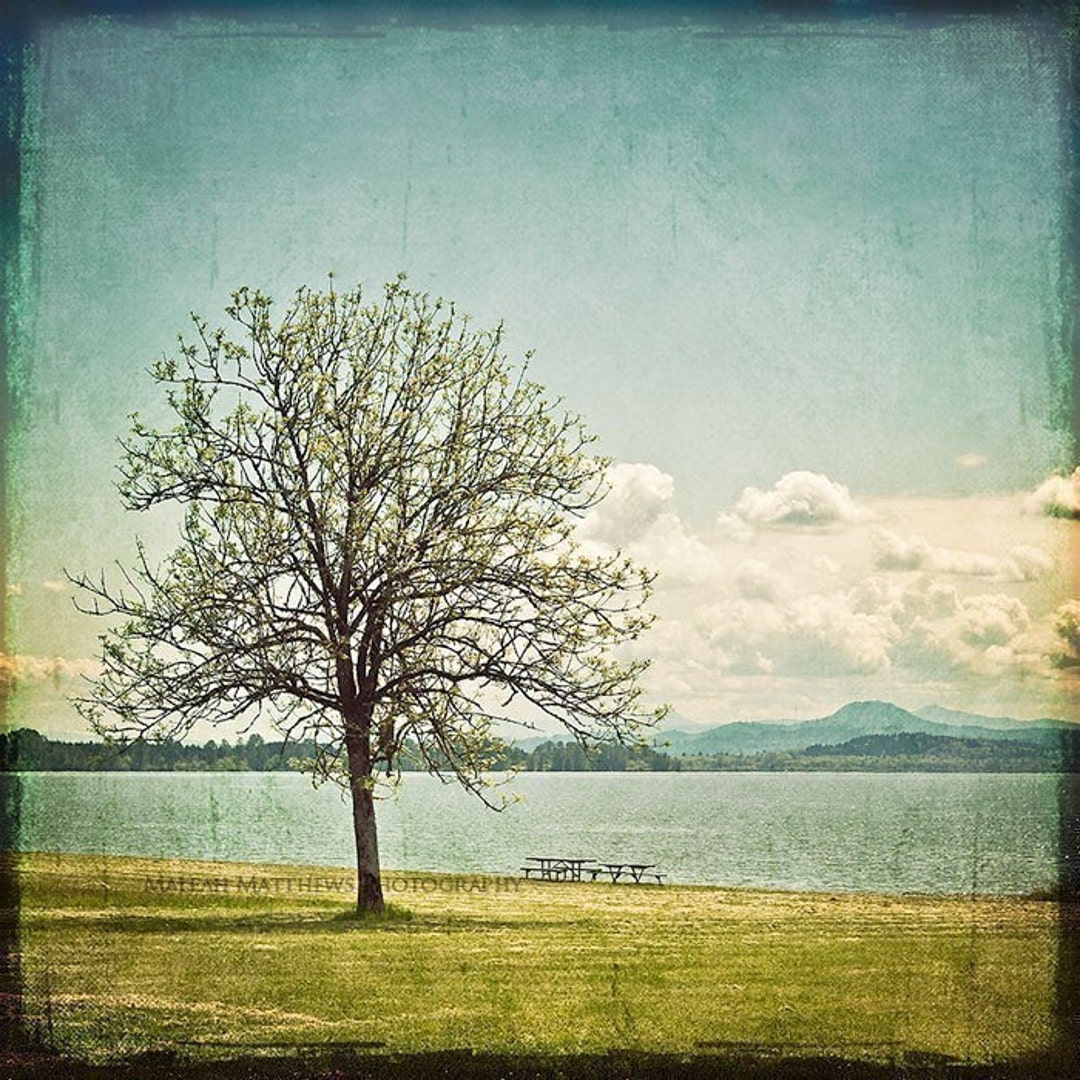 Oak Tree & Lake Photography - Landscape Home Decor Print, Blue Green ...